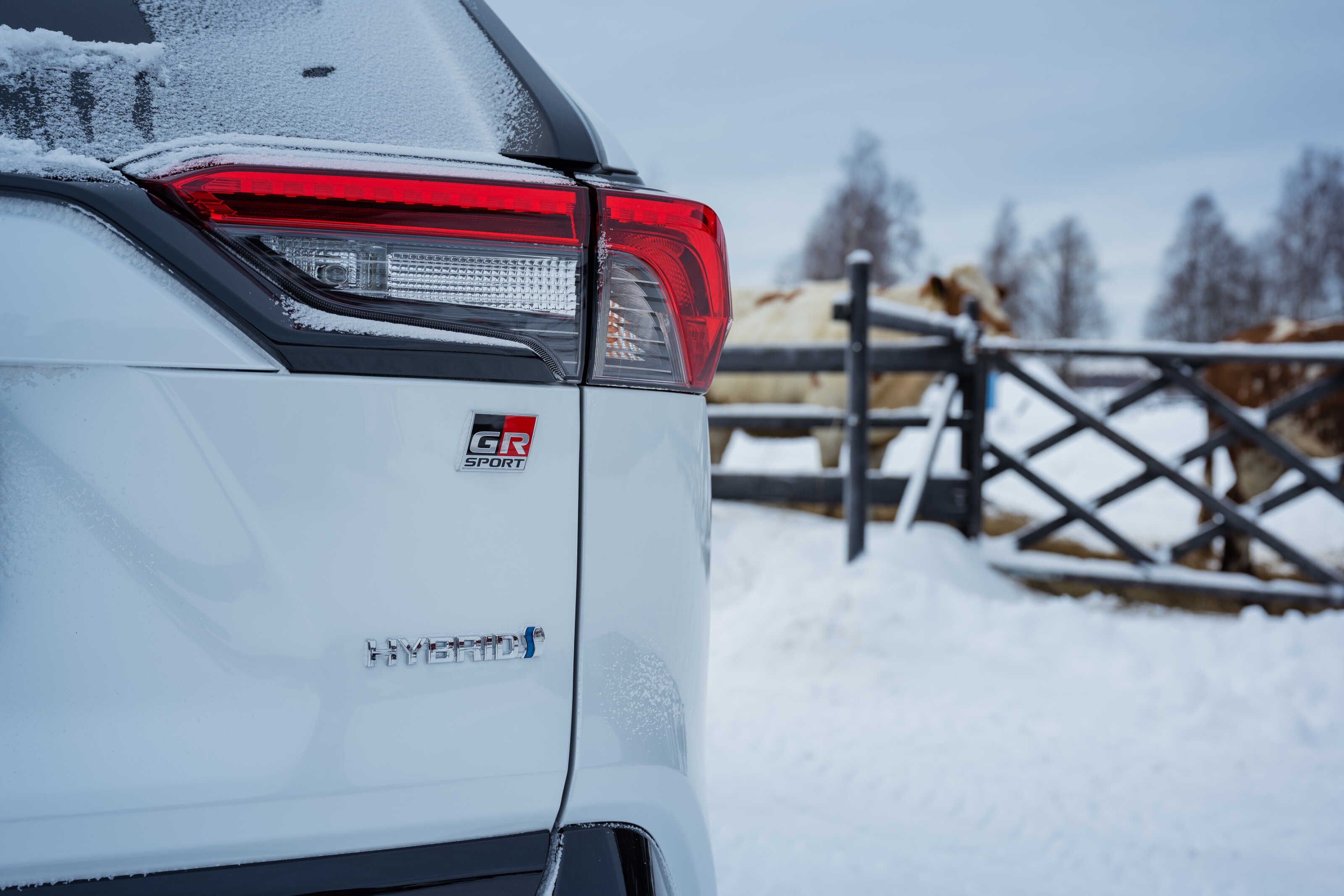 Upptäck Norrbotten med Toyota RAV4 GR SPORT — Toyota